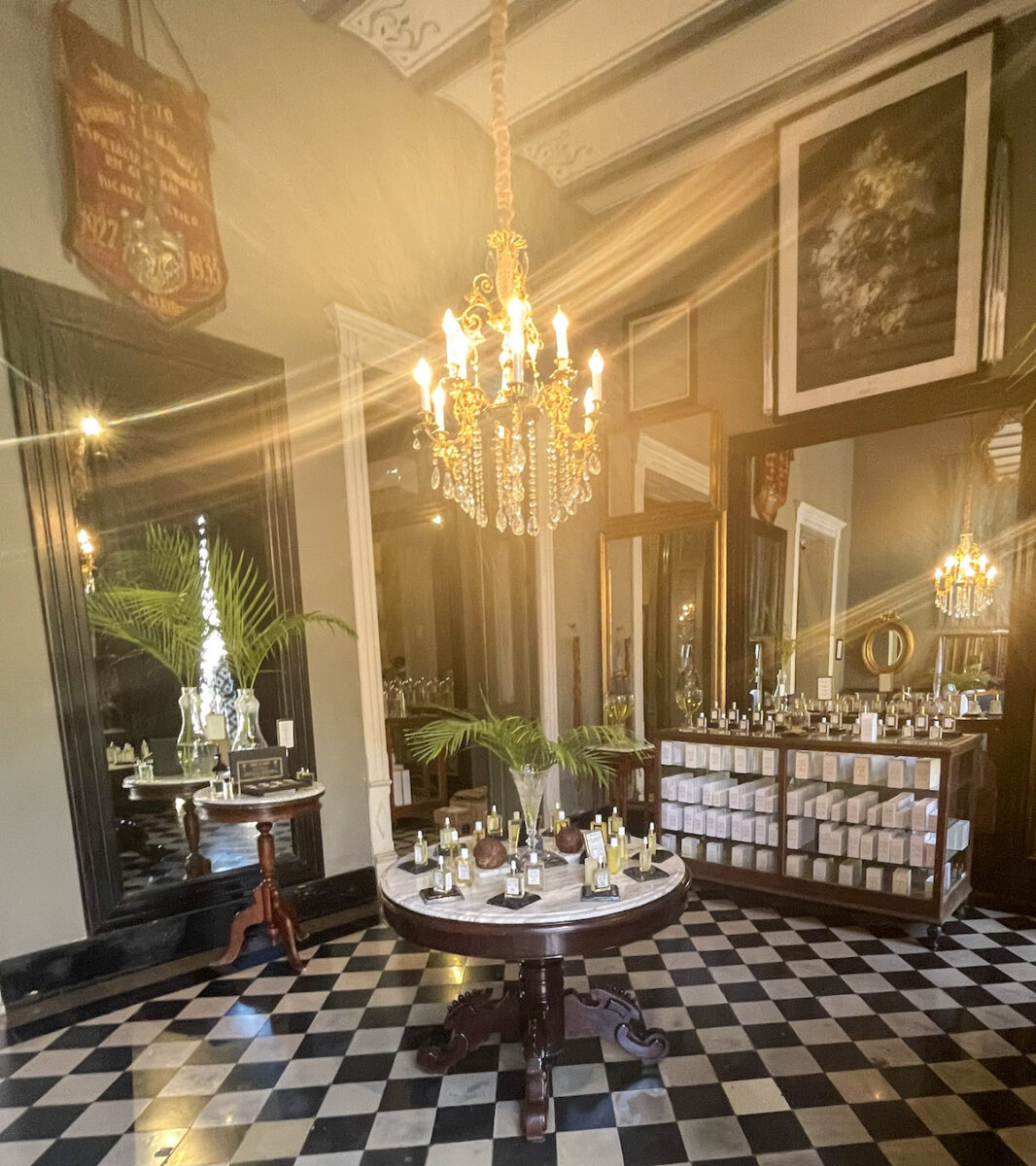 Shopping Merida's Chic Boutiques for Swoonworthy Finds (2025) - The ...