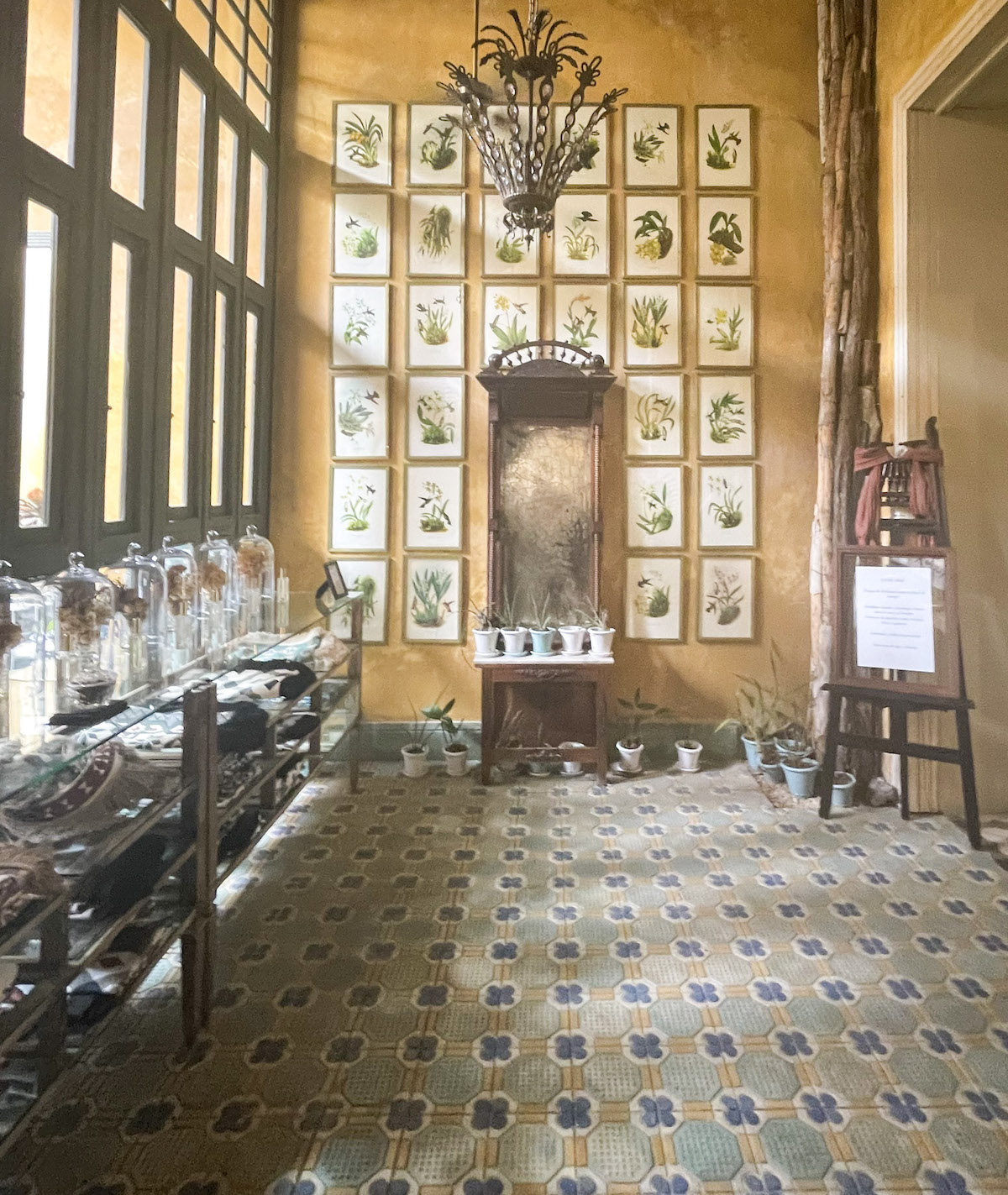 Shopping Merida's Chic Boutiques for Swoonworthy Finds (2025) - The ...