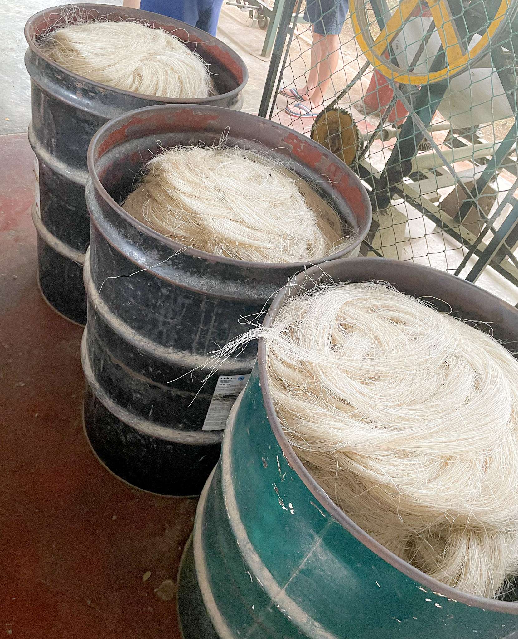 Explore the Most Authentic Hacienda in Yucatan, the Beautiful Sotuta de Peón - The World I Roam