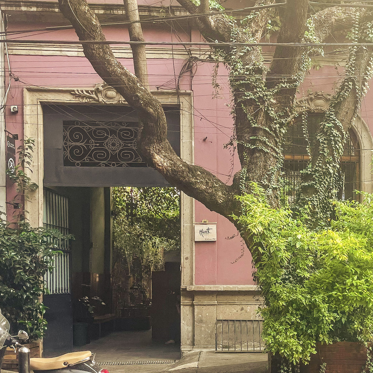 Roma Norte, Mexico City: A 2-Day Guide to the DF's Hipster Enclave ...